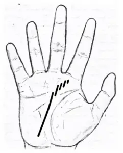 Job Line/Fate Line/Destiny Line/Saturn Line In Palmistry