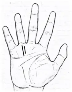 Line of Fame,Luck And Wealth-Sun Line Known As Apollo Line In Palmistry