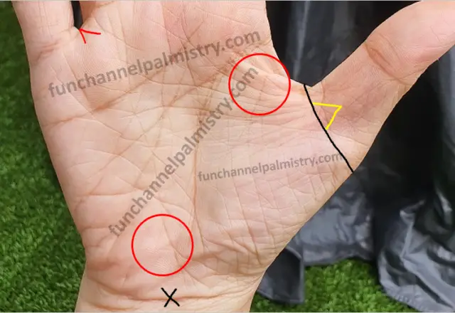 Accurate Money Lines On Palm And Wealth Signs In Palmistry
