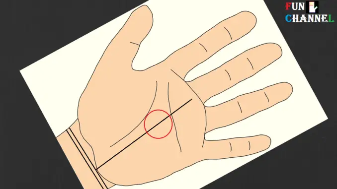 Do You Have These Extremely Lucky Lines On Your Palm?-Palmistry