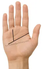Types Of Sun Lines In Palmistry