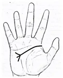 Do You Have Trident Sign Or Trishul Sign On Your Hands?-Palmistry