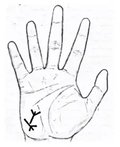 Do You Have Trident Sign Or Trishul Sign On Your Hands?-Palmistry