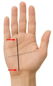 Types Of Sun Lines In Palmistry
