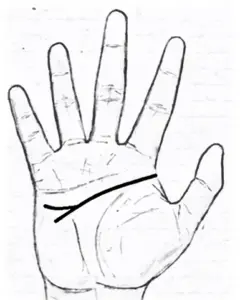 Excellent Money Lines And Lucky Wealth Signs In Your Hands?-Palmistry