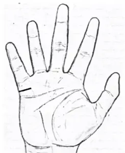 Marriage Line Or Union Line In Palmistry With Marriage Line Age Timings