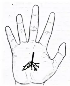 Do You Have These Bad Signs In Your Hand??-Palmistry