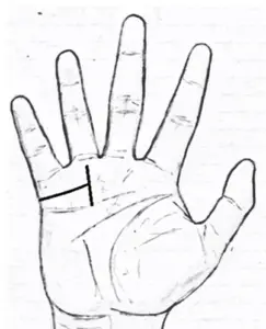 Marriage Line Or Union Line In Palmistry With Marriage Line Age Timings