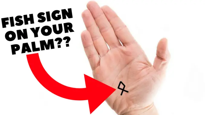What Do The Star Sign On Your Palm Mean?-Palmistry
