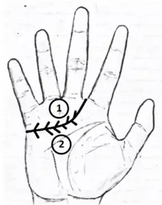 Heart Line Tells A Lot About Your Personality-Palmistry