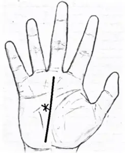 What Do The Star Sign On Your Palm Mean?-Palmistry