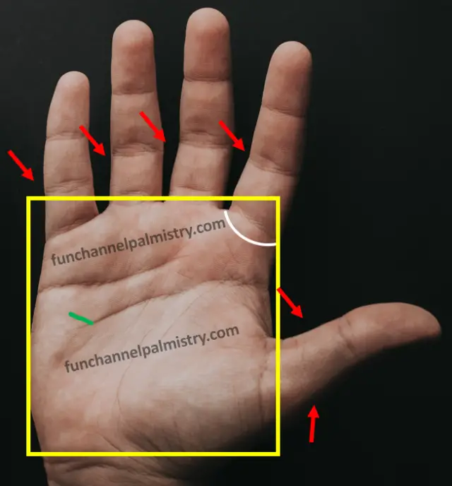Ring Of Solomon, Ring Of Jupiter And Sympathy Lines In Palmistry