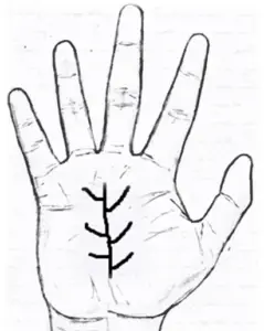 Luckiest Rare Palm Symbols In Palmistry