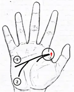 Do You Know The Meaning Of These Major Lines In Your Hand?