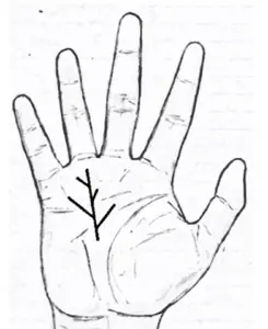 Line of Fame,Luck And Wealth-Sun Line/Apollo Line In Palmistry (Part 2)