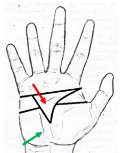 Mounts In Palmistry Tells A Lot About Your Success And Personality