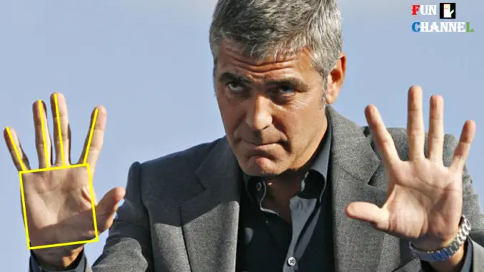 What Does Your Hand Shape Say About Your Personality?-Palmistry