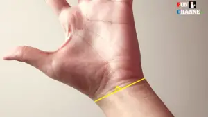 Do You Know The True Meaning of Wrist Lines(Bracelet Lines) In Palmistry?