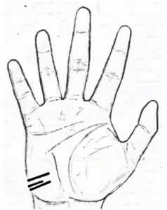 Do You Know The Meaning Of Minor Lines On Your Palm?-Palmistry