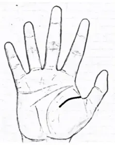 Do You Know The Meaning Of Minor Lines On Your Palm?-Palmistry