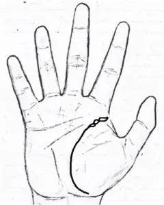 The Life Line Tells A Lot About Your Personality And Health-Palmistry
