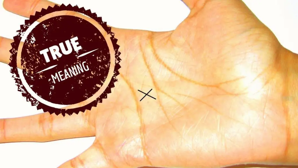 What Does Your Hand Shape Say About Your Personality?-Palmistry