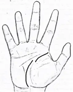Life Line Tells A Lot About Your Personality And Health (Part 2)-Palmistry