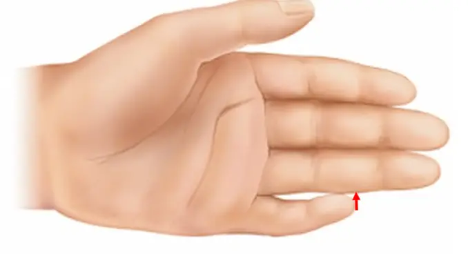 Your Little finger (Pinky Finger) Tells A Lot About Your Personality