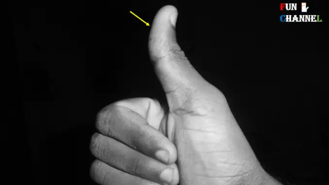 The Thumb Tells A Lot About Your Personality-Palmistry (Part 2)