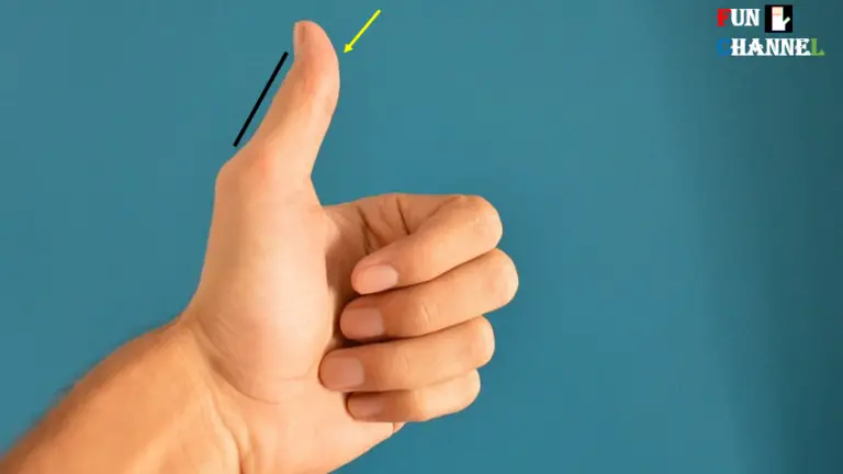 The Thumb Tells A Lot About Your Personality-Palmistry (Part 2)