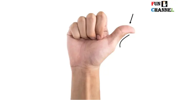 The Thumb Tells A Lot About Your Personality-Palmistry (Part 2)