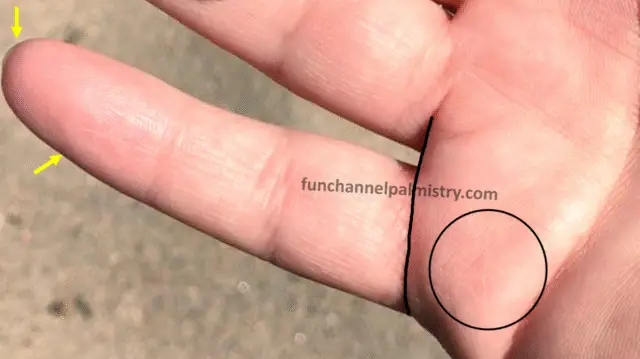 Triangles In Palmistry And Triangle Sign On Palm