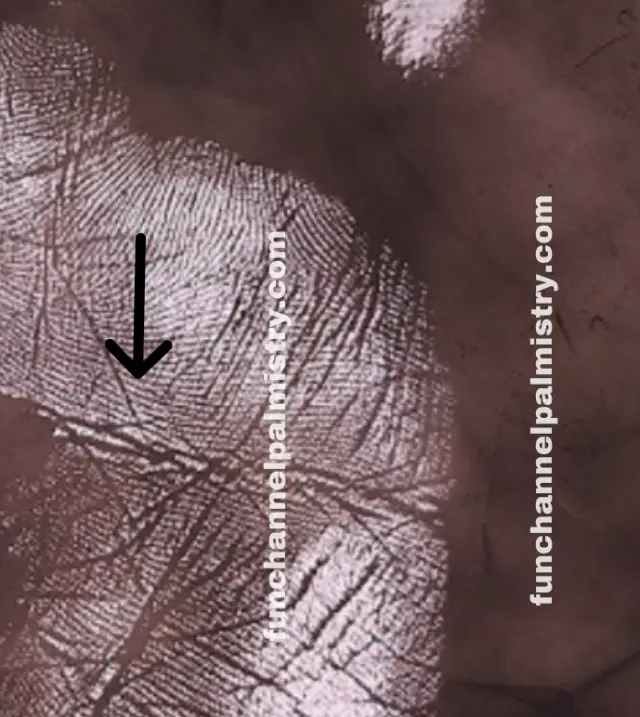 God Gifted Money And Divine Signs In Your Hands?-Squares in Palmistry