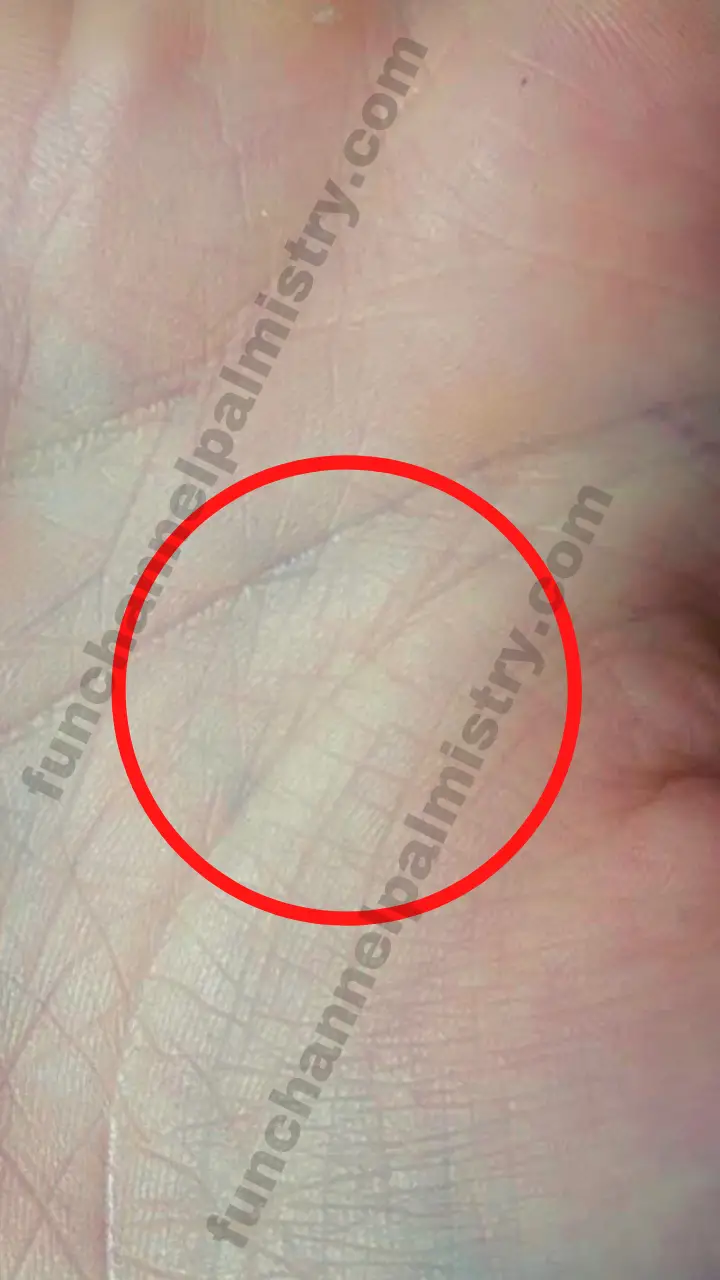 Success Lines On Palm And How To Time The Life Line In Palmistry