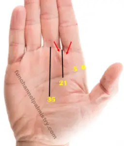 Success Lines On Palm And How To Time The Life Line In Palmistry
