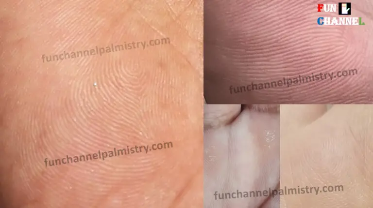 Most Lucky Loops And Money Signs In Your Hands?-Palmistry