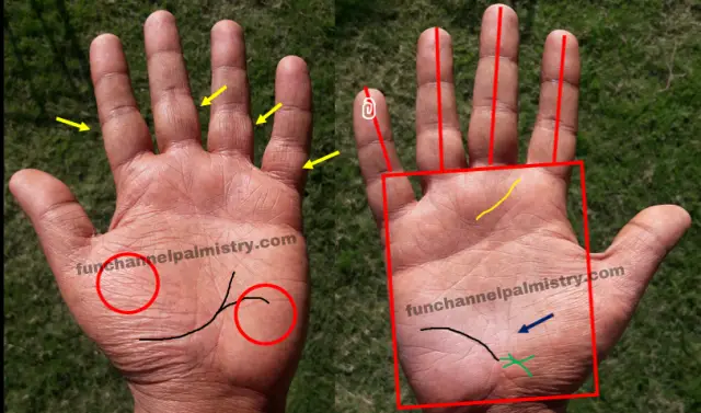 Many Lines On Hand And Unsuccessful Signs In Palmistry