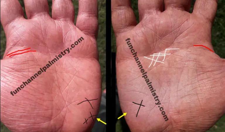 Many Lines On Hand And Unsuccessful Signs In Palmistry