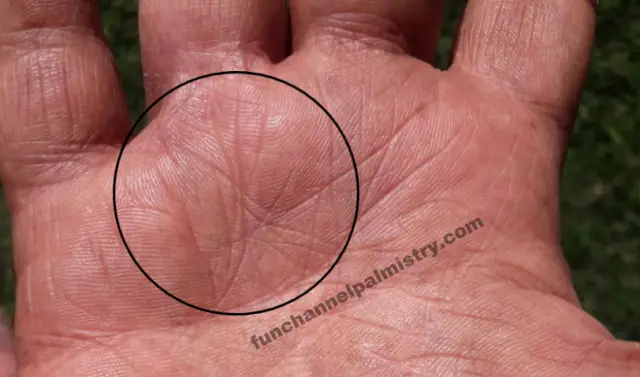 Many Lines On Hand And Unsuccessful Signs In Palmistry