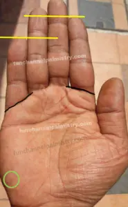 Rare Signs In Palmistry And Brilliant Luck On Your Hands?