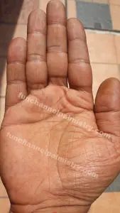 Rare Signs In Palmistry And Brilliant Luck On Your Hands?