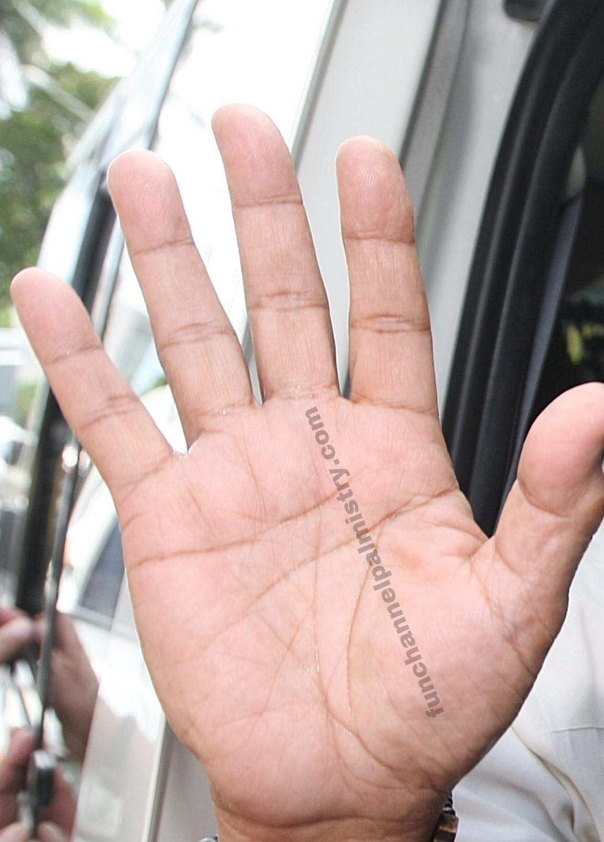 Best Signs In Palmistry And Super Powerful Signs On Your Hands?