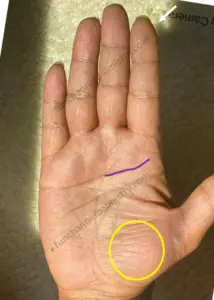 Good Luck Signs In Palmistry On Your Hands?